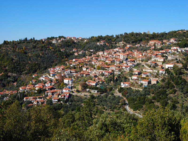 Αρκαδική Οικολογική Φάρμα