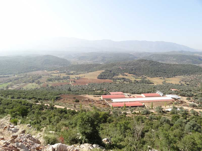 Αρκαδική Οικολογική Φάρμα